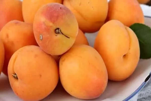 Lafiya apricot