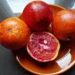 Orange Moro: Maelezo 3 ya aina nyekundu na maombi yao, sheria za huduma 6121_5