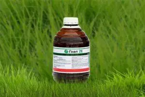 Herbicide Groa এর কর্মের ব্যবহার এবং পদ্ধতির জন্য নির্দেশাবলী, কিভাবে একটি কাজ সমাধান প্রস্তুত করা যায়