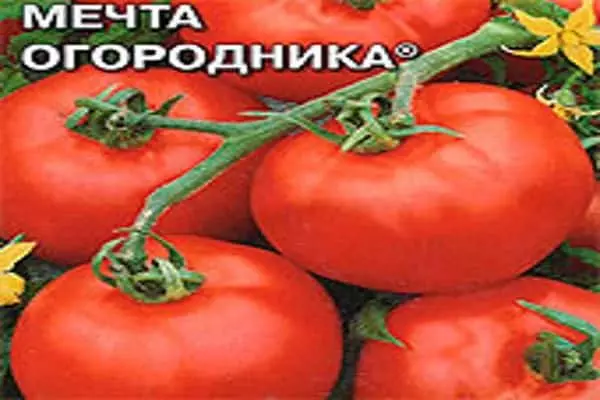Tomato Dream Gargetnik