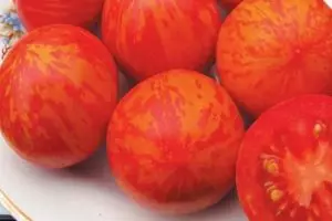Priskribo de tomata tomato Ryabik, ĝia karakterizaĵo kaj kultivado