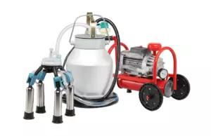 Instructions for the use of milking milking machine, where to buy and cost