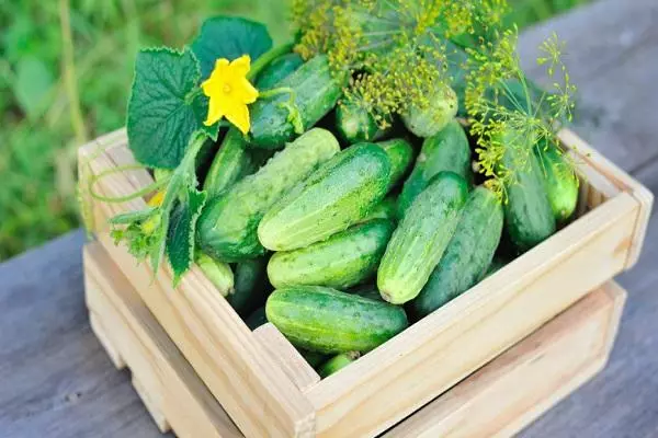 Grönsaker i en låda