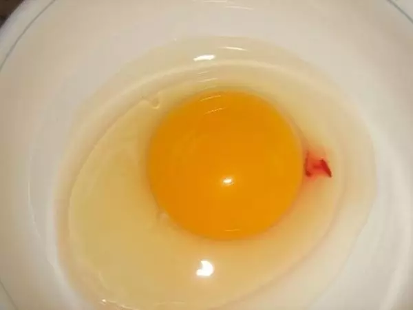 Крв во жолчка од пилешко јајце