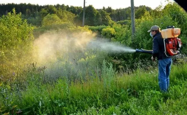 Arbeta med herbicid