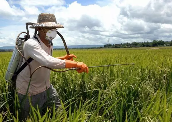 Trabalhando com herbicida no campo