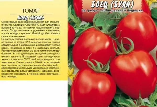 Tomati seemned võitleja