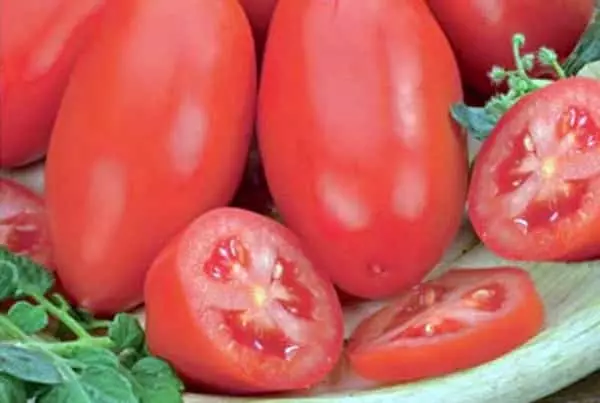 Tomate Shule.