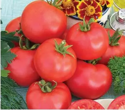 Alffa tomato
