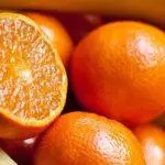 Hur man lagrar apelsiner: Regler och metoder hemma, timing 6310_3