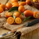 Hoe kinne jo Oranges opslaan: Regels en metoaden thús, timing 6310_6