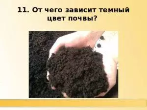 From what can depend soil staining in dark or light color