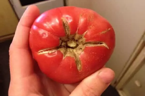 тріснув томат