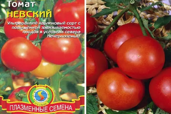 Pomidorowa hybrydowa