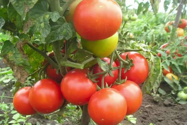 Pequenos tomates.