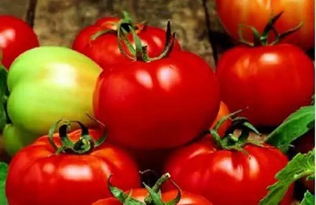 Pomidor soltan