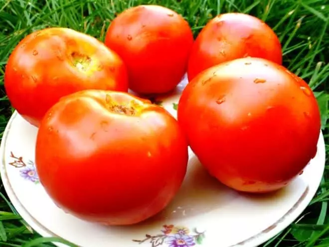 Hvit spildt tomat på en tallerken