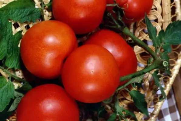Pomidor nevsskiý