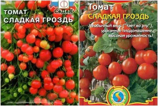 Pomidor toxumları şirin dəstə