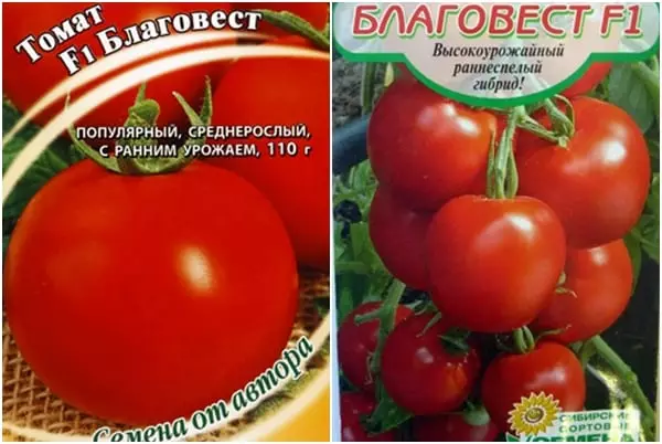 Tomato seed blagovest f1.