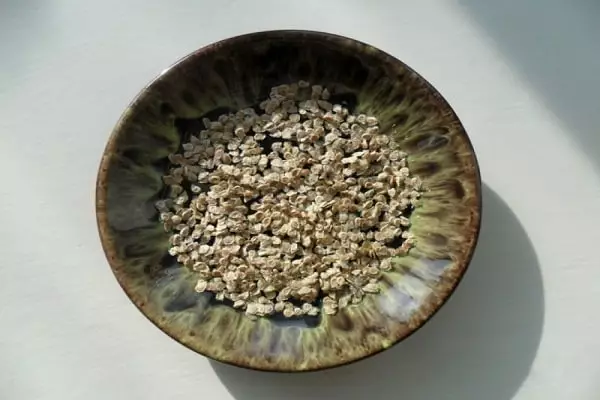Seeds in a plate