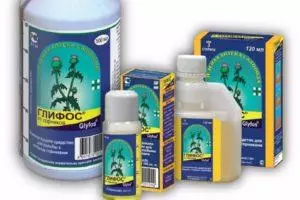 Typer av herbicider i Malina, beskrivning och instruktioner för användning från ogräs
