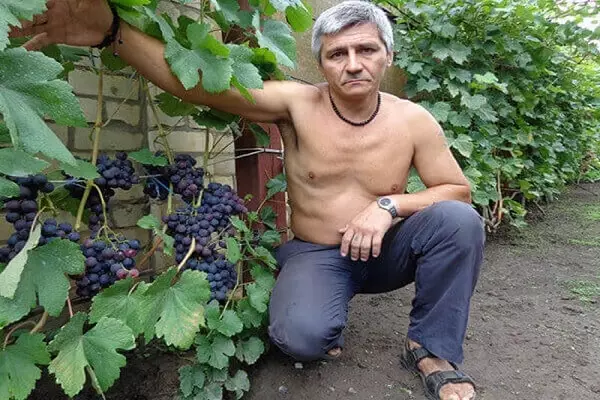 експерт по виноградарству