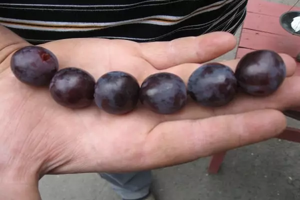 Berries sa kamay