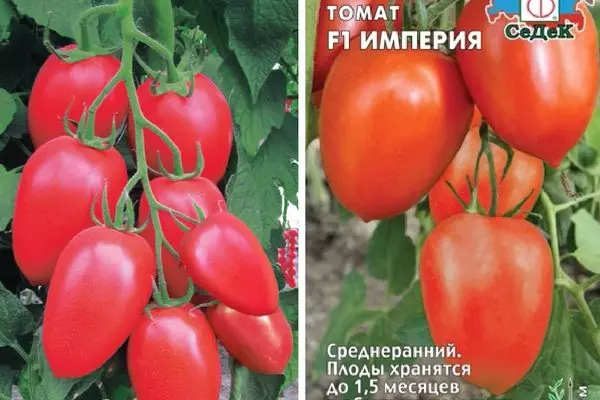 Fruit de tomate