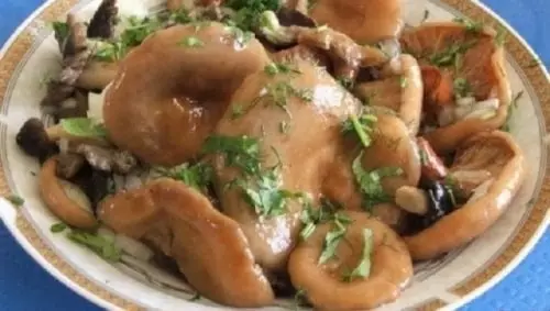 Muszrous Mushrooms Volzushki