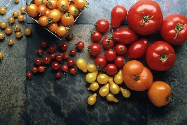 各種各樣的西紅柿在桌子上