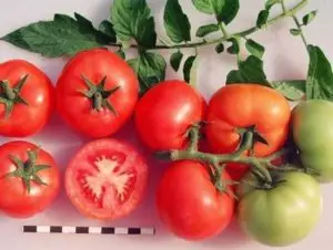 Característica e descrição das variedades de tomate Sanka, seu rendimento e cultivo