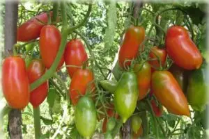 De bêste en meast oplevere fariëteiten fan tomaten foar Sibearje yn 'e glêstún