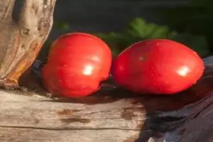 Pomidorų veislės aprašymas Gražus yra mėsos ir jo charakteristikos