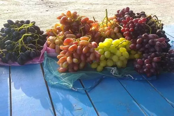Grapes Diverses