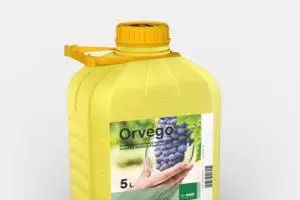 Fungicide Orvego- ի օգտագործման հրահանգներ, գործիք Նկարագրություն եւ անալոգներ