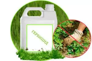 Pokyny pro použití Grand Plus a složení herbicidu, dávkování a analogů