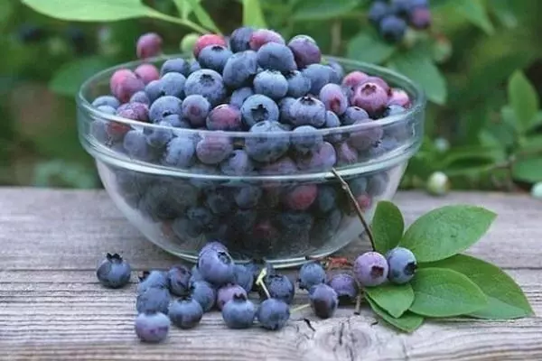 Berries Irgi.