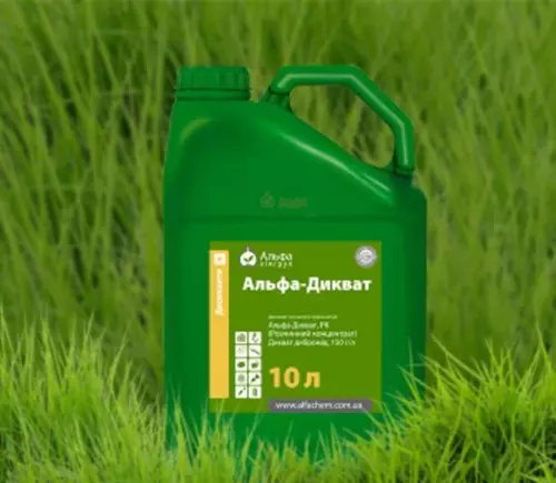 Instruções para o uso de dicawate e a composição do herbicida, a dosagem do desicente