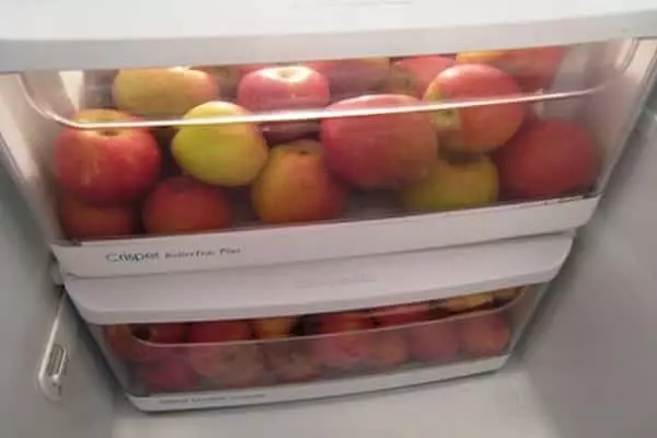 Inside the refrigerator