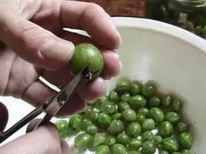 How to freeze the gooseberry for the winter in the refrigerator at home and is it possible