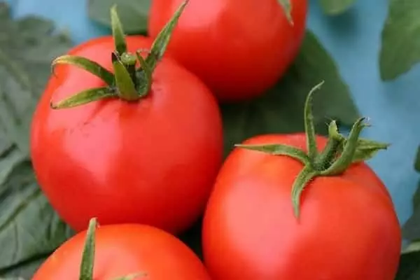 Pomidor Otradny.