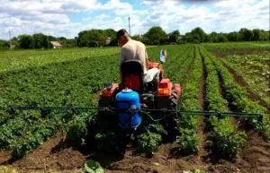 Igoa o le sili sili ona lelei ma sili ona malosi herbicides mai vao ma pe faʻafefea ona taulimaina