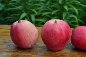 Deskripsi terperinci dan karakteristik varietas pohon apel Nastya