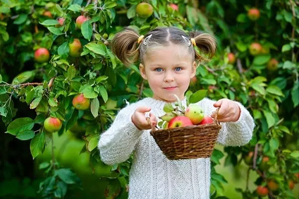 ילדה עם תפוחים