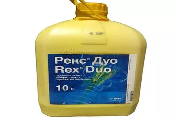 Fungisticidis Rex Duo: Дастурҳо барои истифода, навъҳо, сатҳи хароҷот