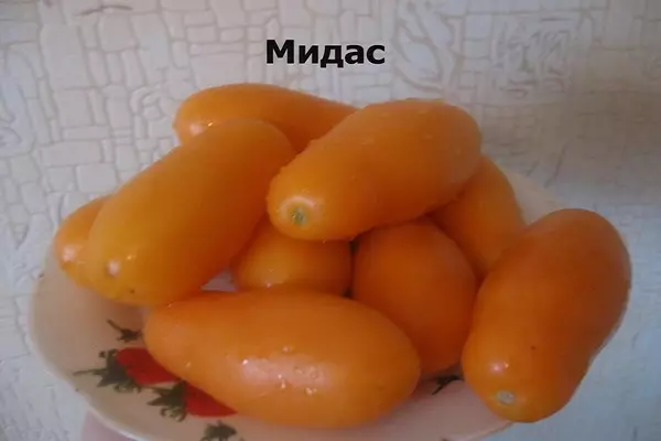 Rajčica midas