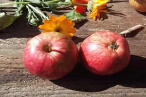 Beskrywing en eienskappe van 'n verskeidenheid appelbome Scarlet blom, opbrengs en winterweerstand