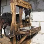 Барака за кози: големини и цртежи, како да се направи тоа и да се организира 6671_15