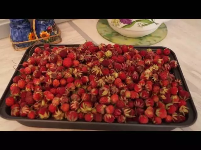 Заготовки ягоди